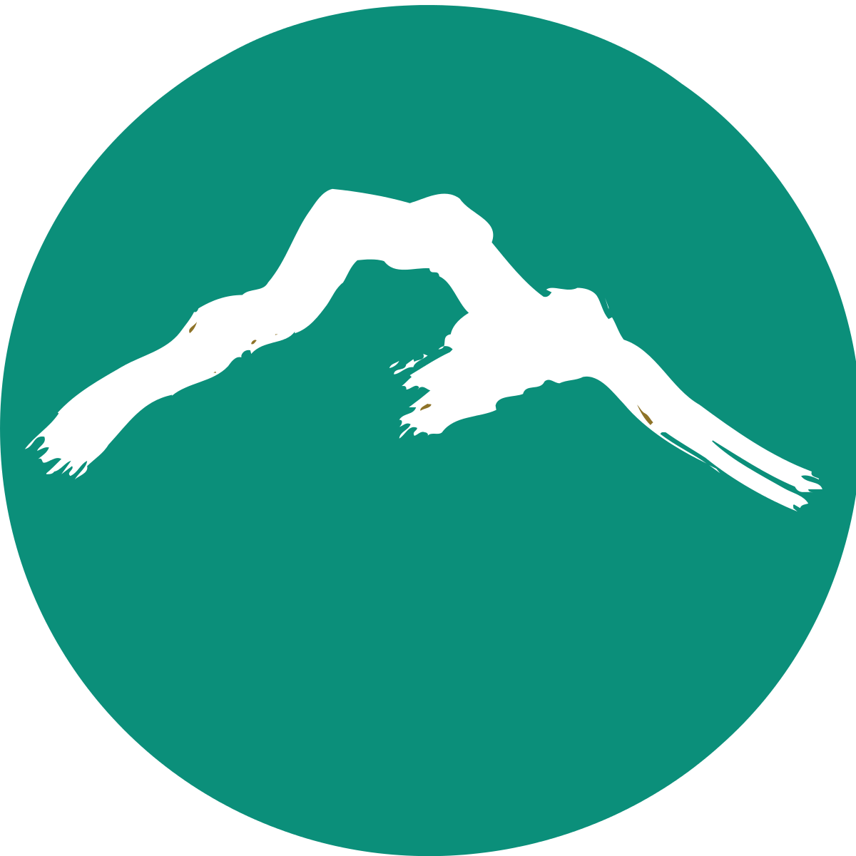 Review Your Bank | Bank Quality